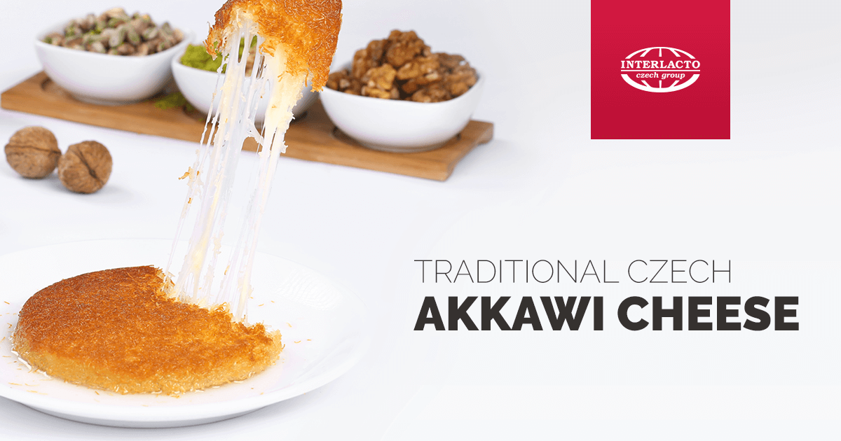 Traditional Czech akkawi Cheese